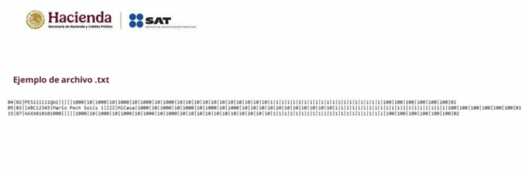 Carga Batch DIOT 2025 del SAT en Excel - ContadorMx